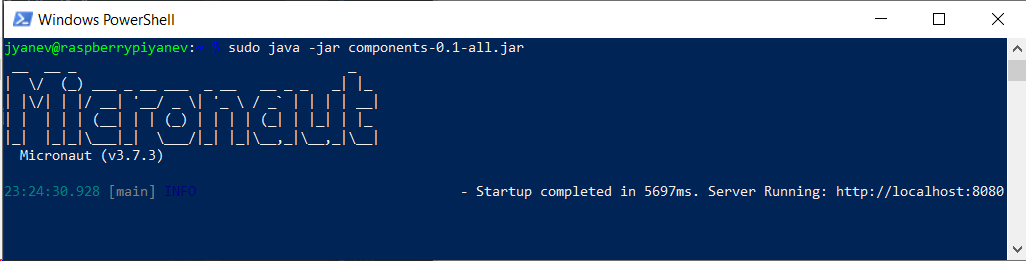 Pi4Micronaut Documentation